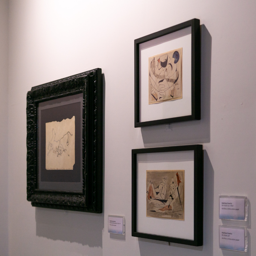 Museo CAssa Gaia | 101 Museos